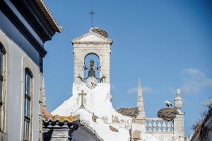 Visiter Faro : 9 activités incontournables à faire à Faro - Blog Voyages