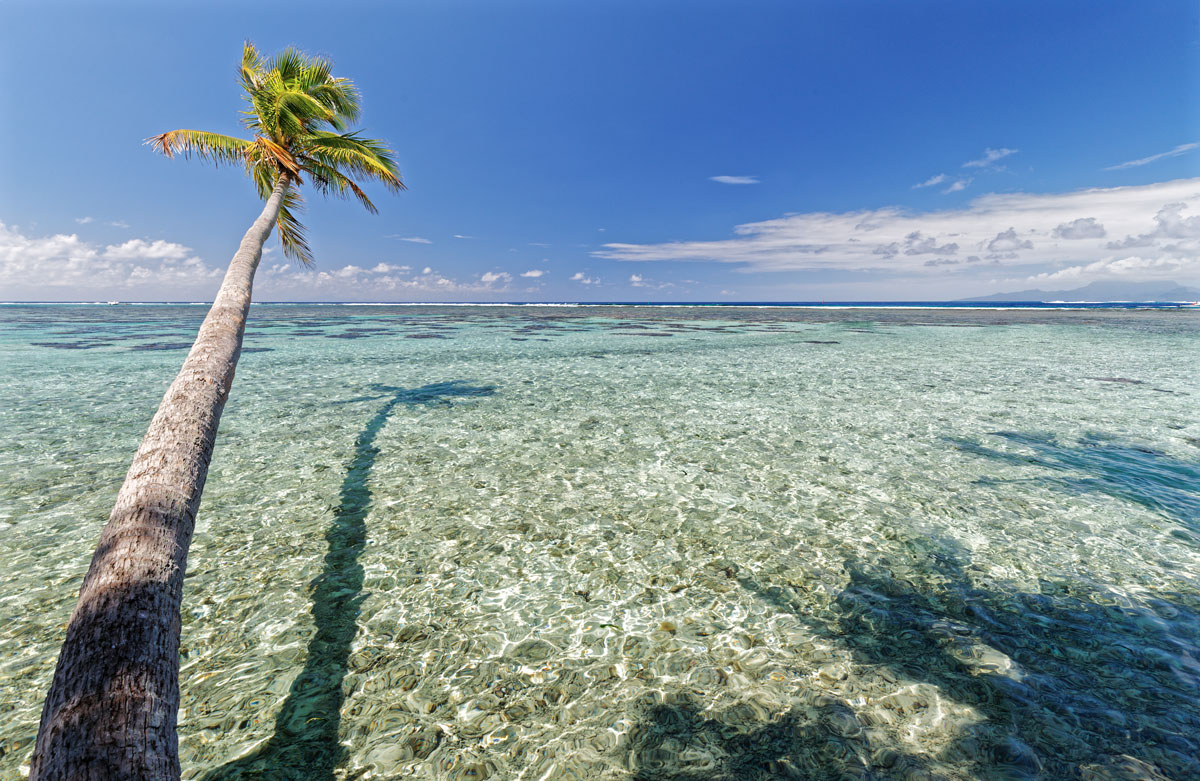 Pourquoi visiter la Polynésie française ? - Blog Voyages